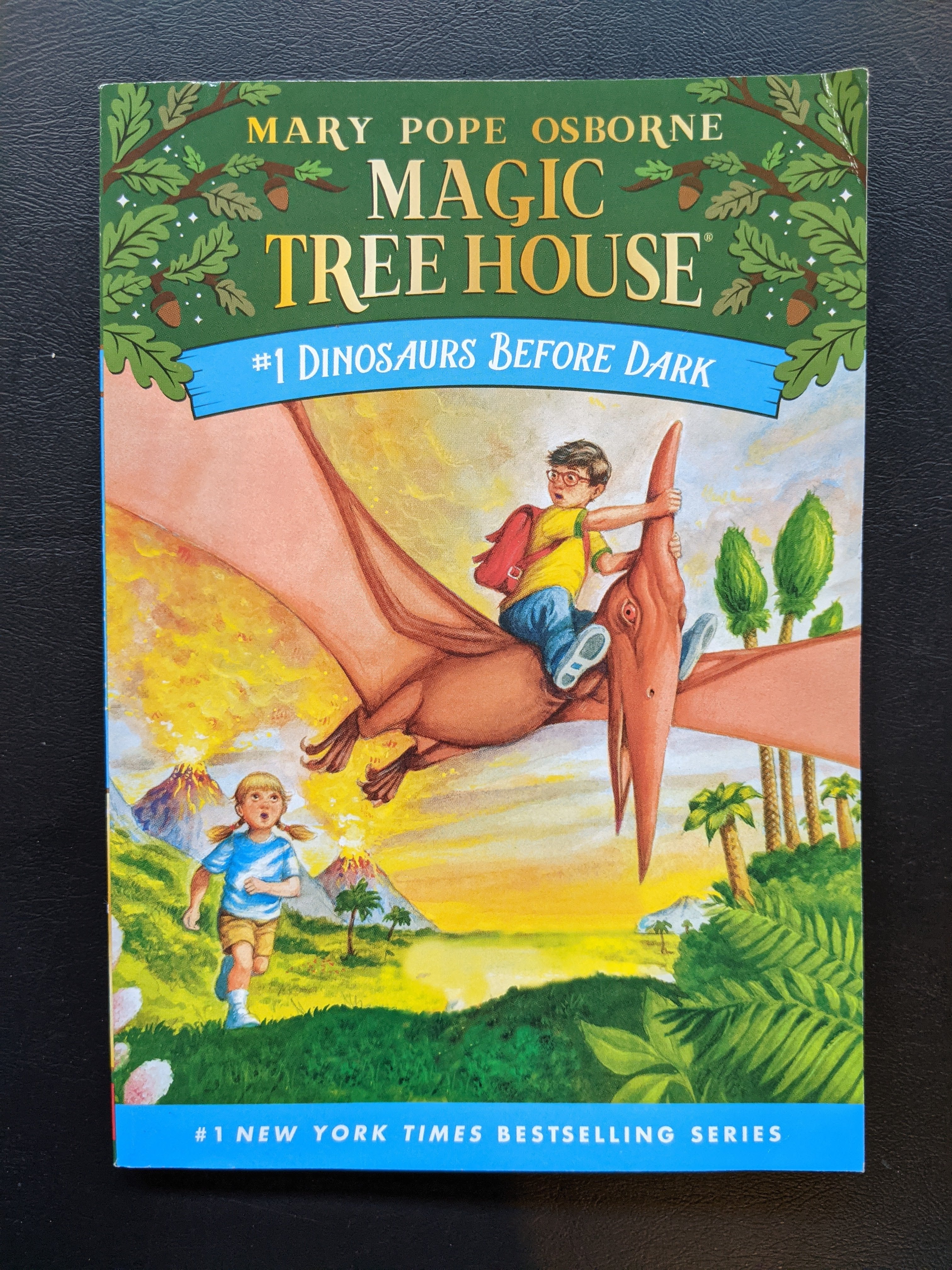 Magic Tree House Dinosaurs Before Dark Illustrations